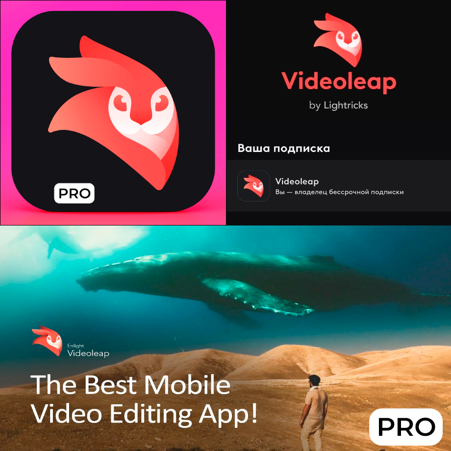 Buy 📷 Videoleap PRO FOREVER ON iPhone ios AppStore + 🎁 and download