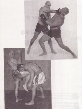 Buy Bas Rutten Big Book Of Combat cheap, choose from different sellers ...